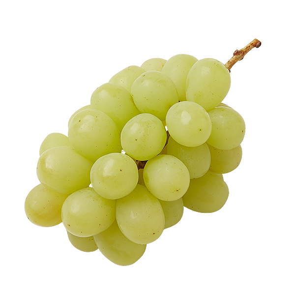 Grape Varieties